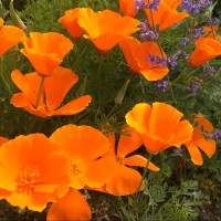 Publications – Kate Hendry